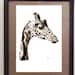 Giraffe Wildlife Art Print - Graphite Fine Art - Etsy