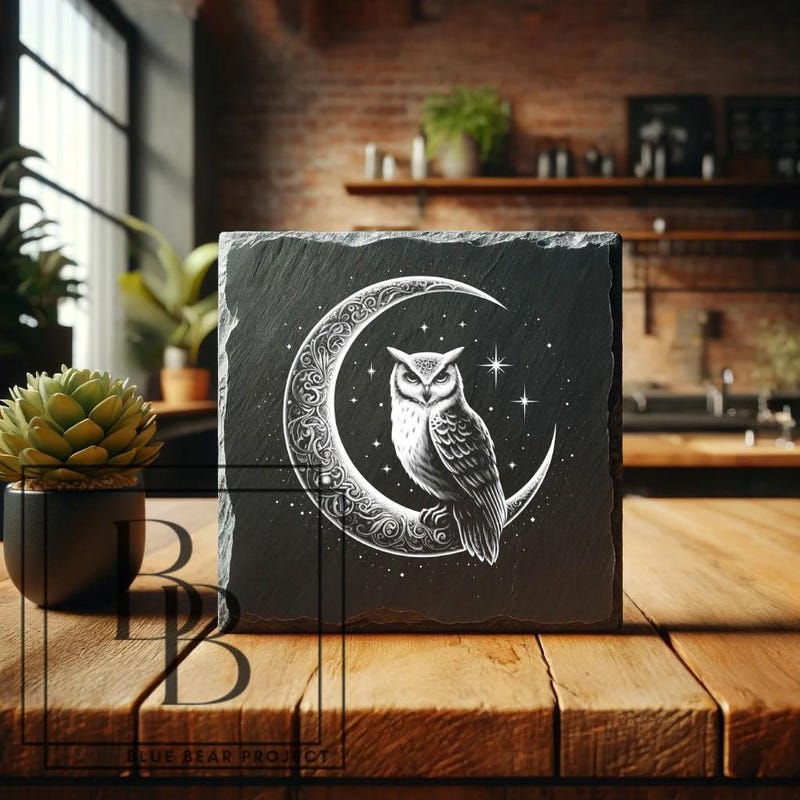 Owl Coasters - Etsy