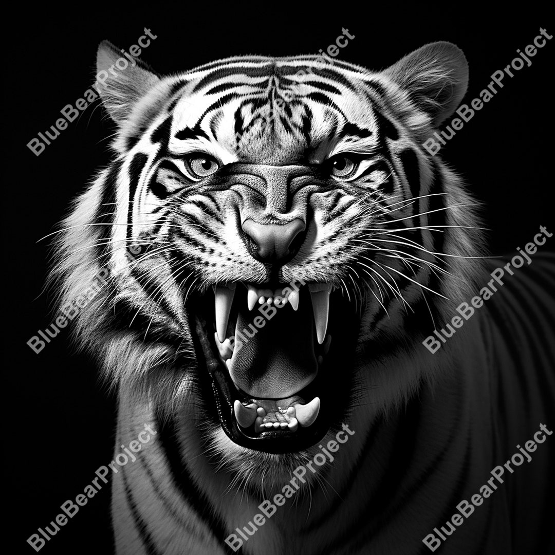 Tiger PNG, Digital File, Laser Engrave File, Slate Coaster, PNG for ...