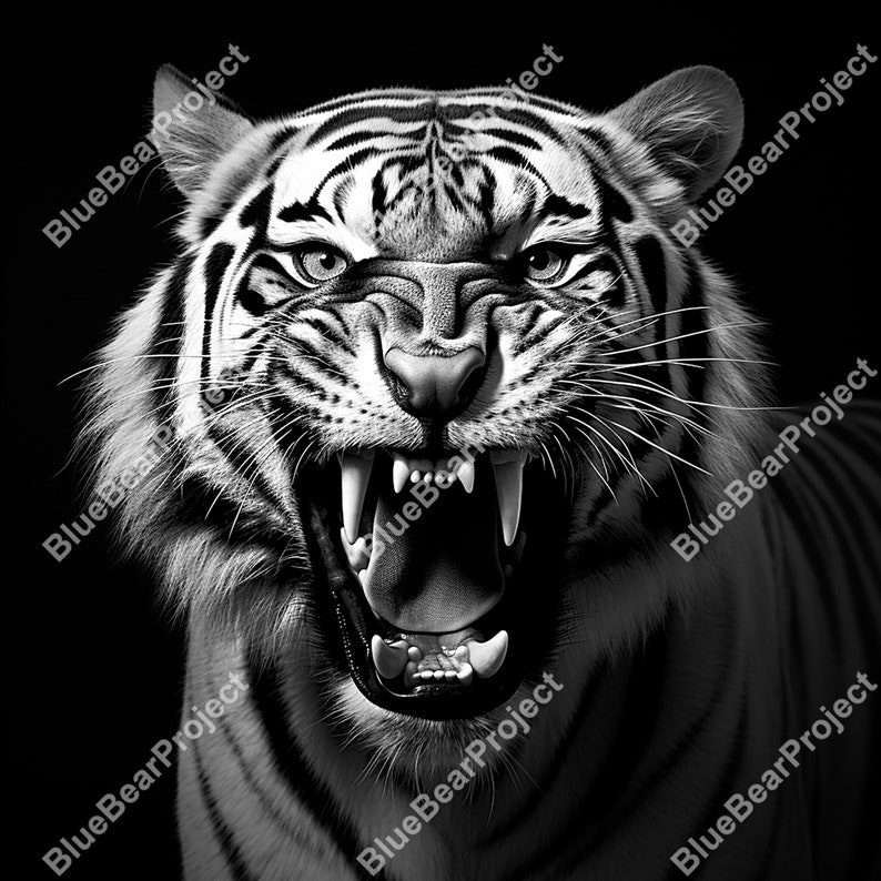 Tiger PNG, Digital File, Laser Engrave File, Slate Coaster, PNG for Laser Engraving on Slate ...