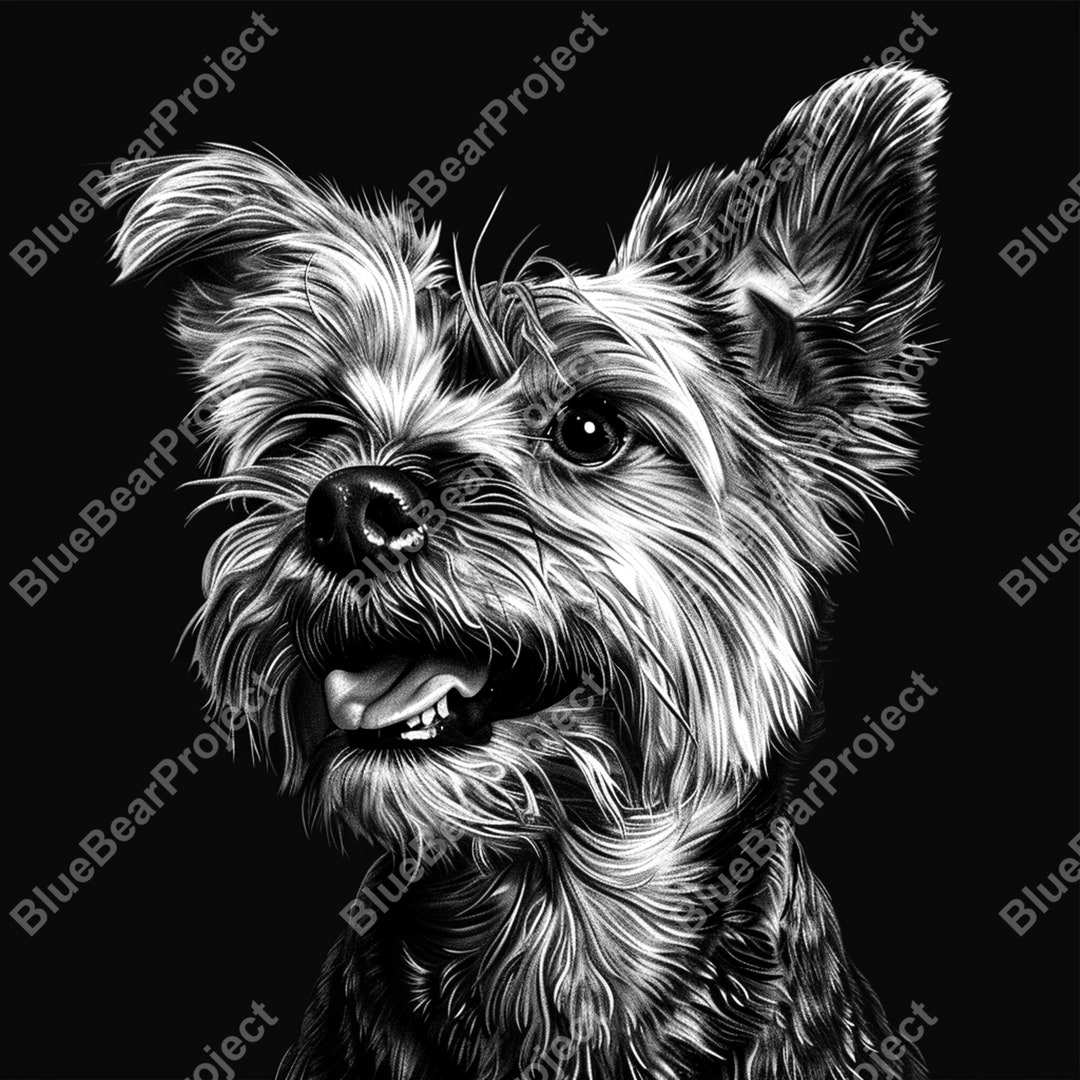 Laser Engrave File | Slate Coaster | 2x PNG for Laser Engraving on Slate | Yorkshire Terrier ...