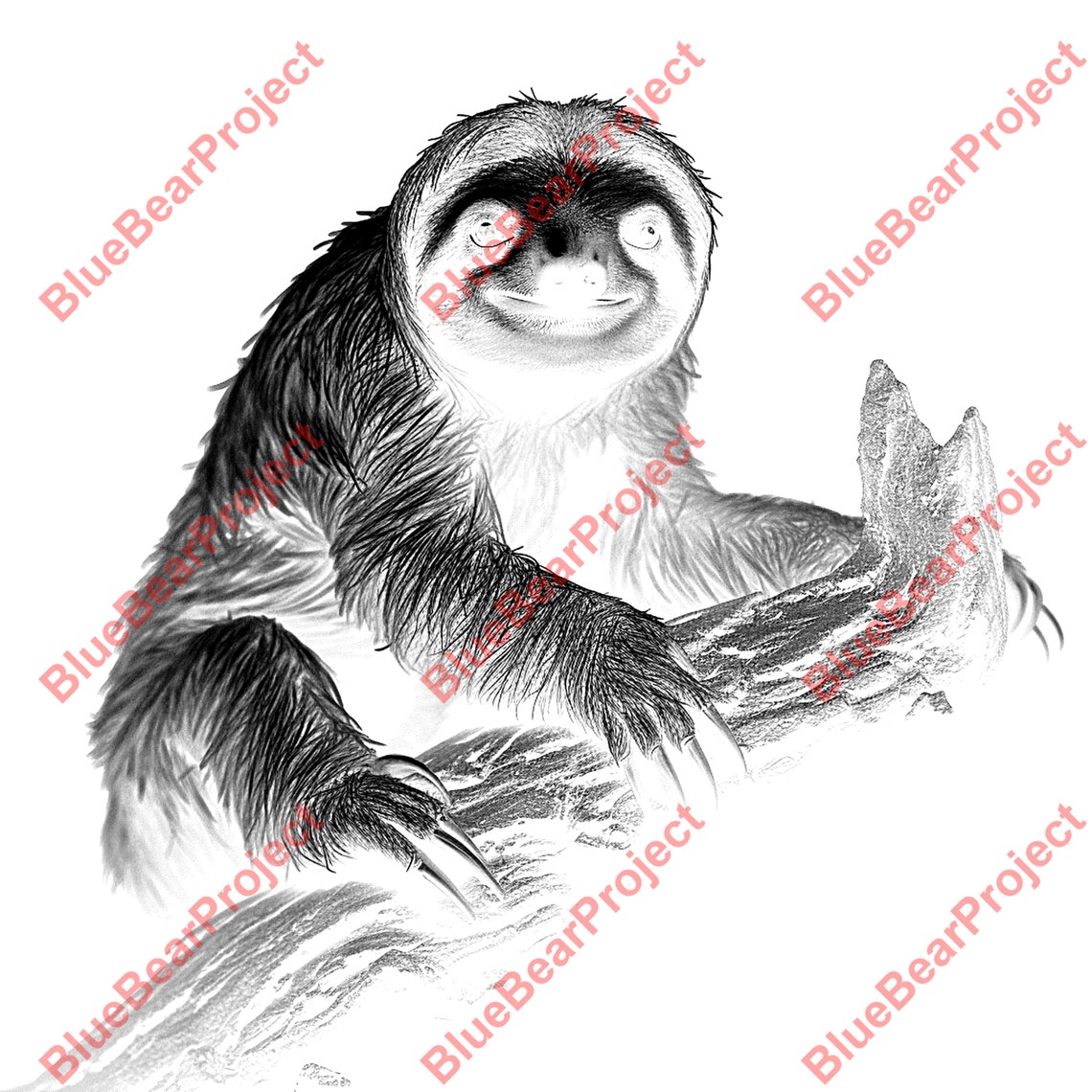 Happy Sloth on a Tree PNG, Digital File, Laser Engrave Realistic PNG ...