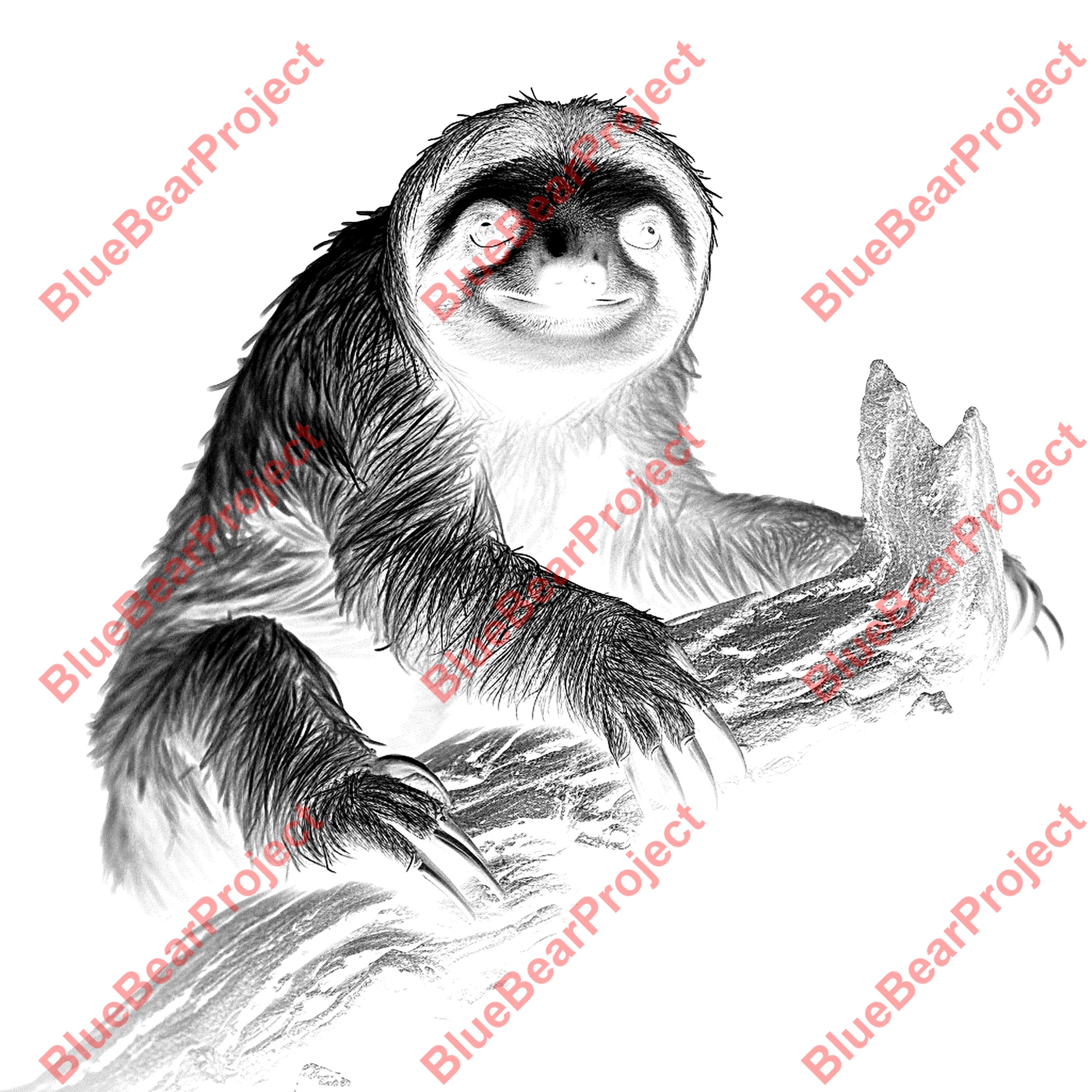 Happy Sloth on a Tree PNG, Digital File, Laser Engrave Realistic PNG ...