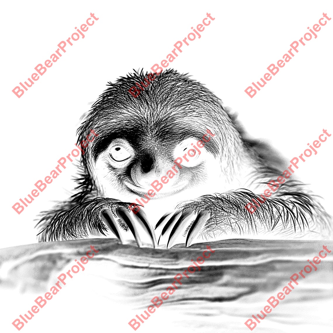Happy Sloth PNG, Digital File, Laser Engrave Realistic PNG for Laser ...