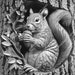Squirrel Png, Laser Engrave, Burn PNG, File Ready for Engraving on Wood ...