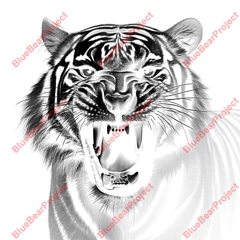 Tiger PNG, Digital File, Laser Engrave File, Slate Coaster, PNG for Laser Engraving on Slate ...