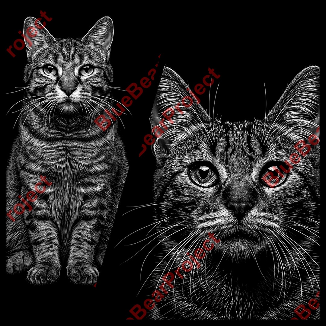 Bengals Cat 2xpng. 2 Pack, Laser Engrave File, Slate Coaster, PNG for ...