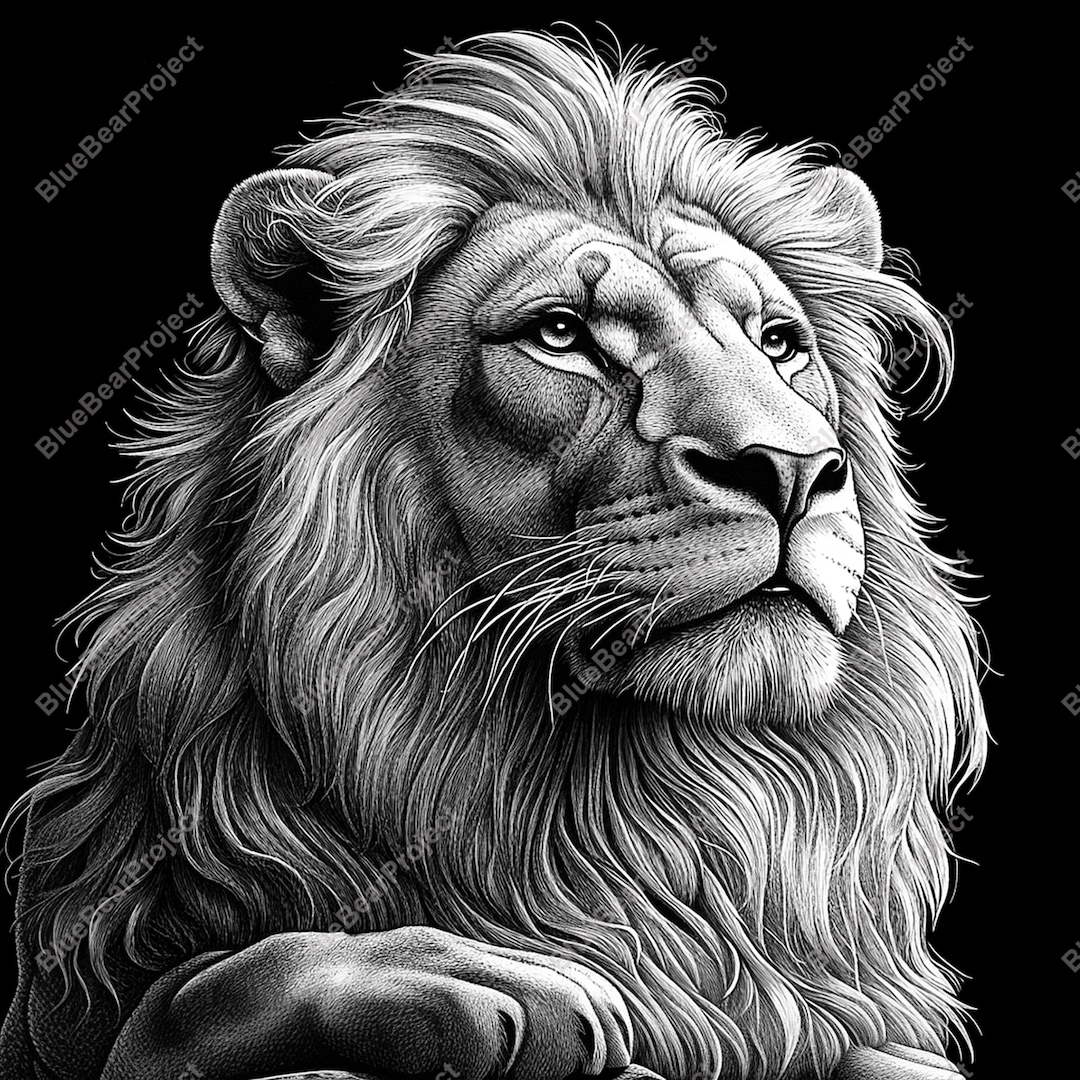 Lion PNG, Digital File, Laser Engrave File, Slate Coaster, PNG for Laser Engraving on Slate, CO2 ...