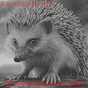 Hedgehog PNG, Digital File, Laser Engrave File, Slate Coaster, PNG for ...
