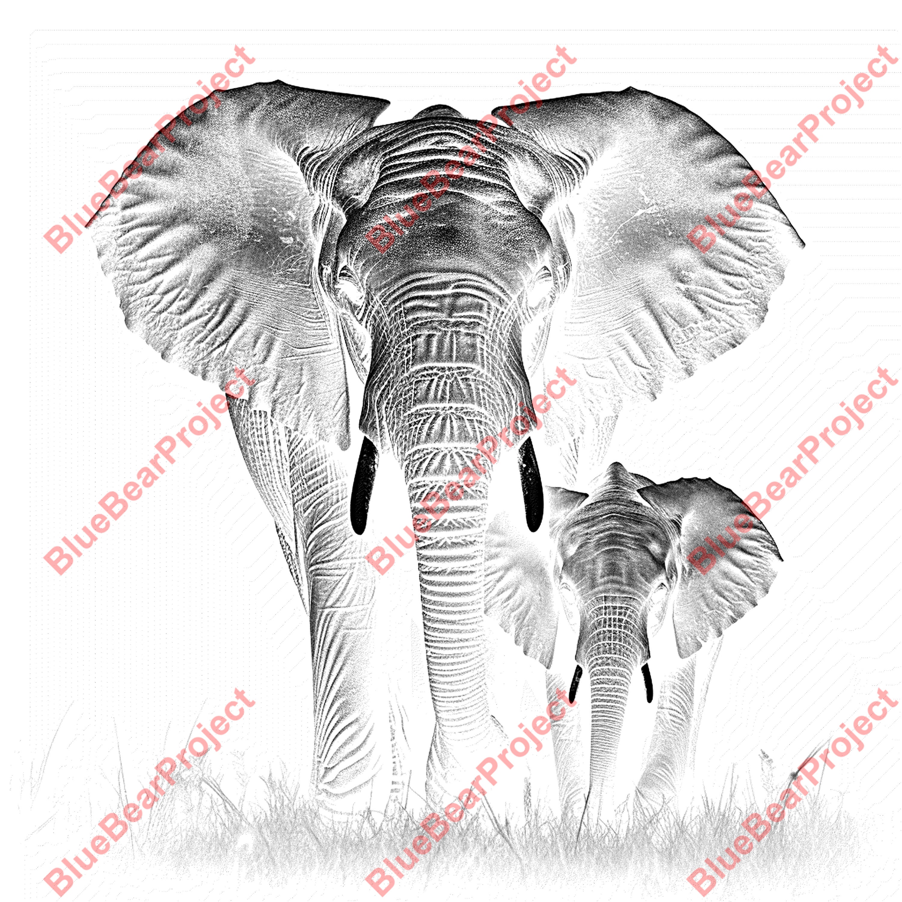 Elephant Laser PNG, Digital File, Laser Engrave File, Slate Coaster ...