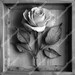 Laser Engrave Burn PNG | Rose | PNG File Ready for Engraving on Wood ...