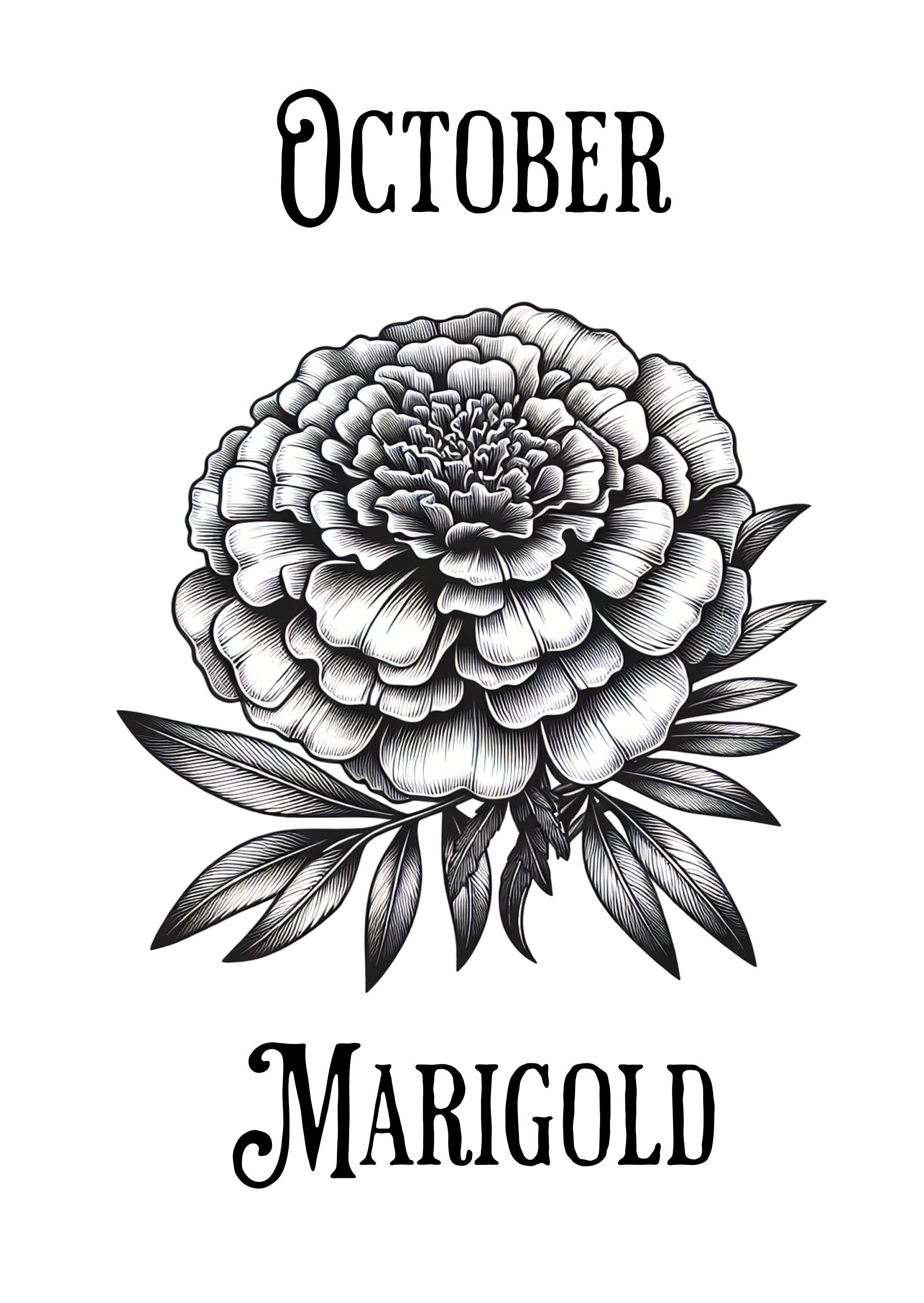 October Marigold Birth Flower Wall Art Gift for Birthday, Mother ...