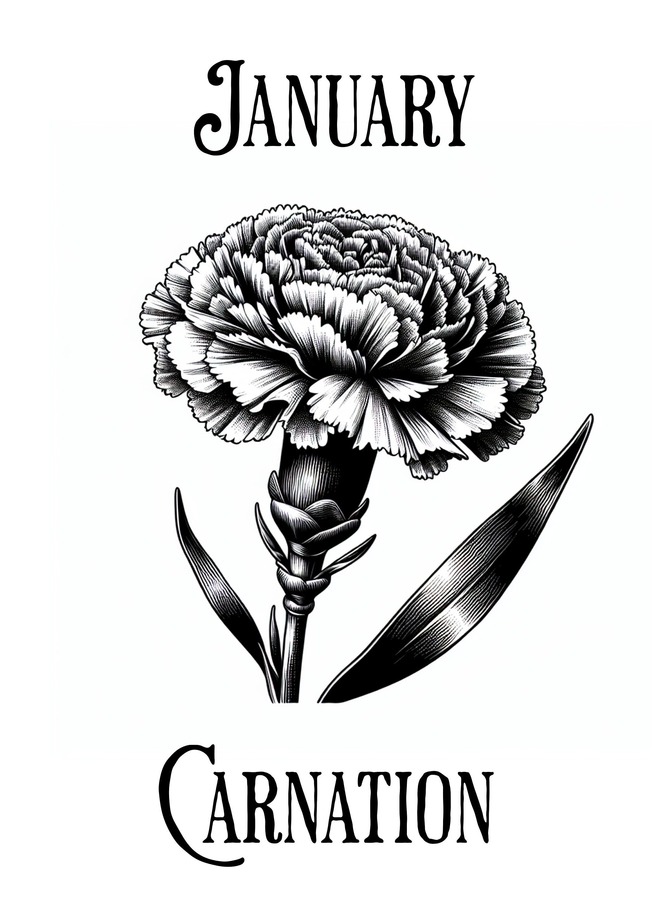 January Carnation Birth Flower Wall Art Gift for Birthday, Grandmother ...