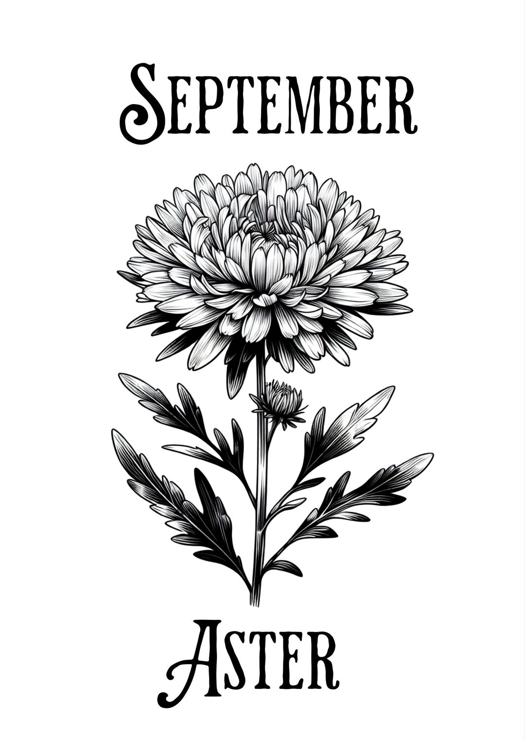September Aster Birth Flower Wall Art Gift for Birthday, Grandmother ...
