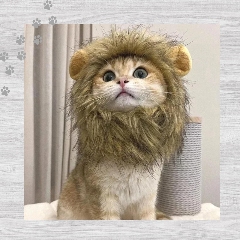Cat Lion Mane Costume - Etsy