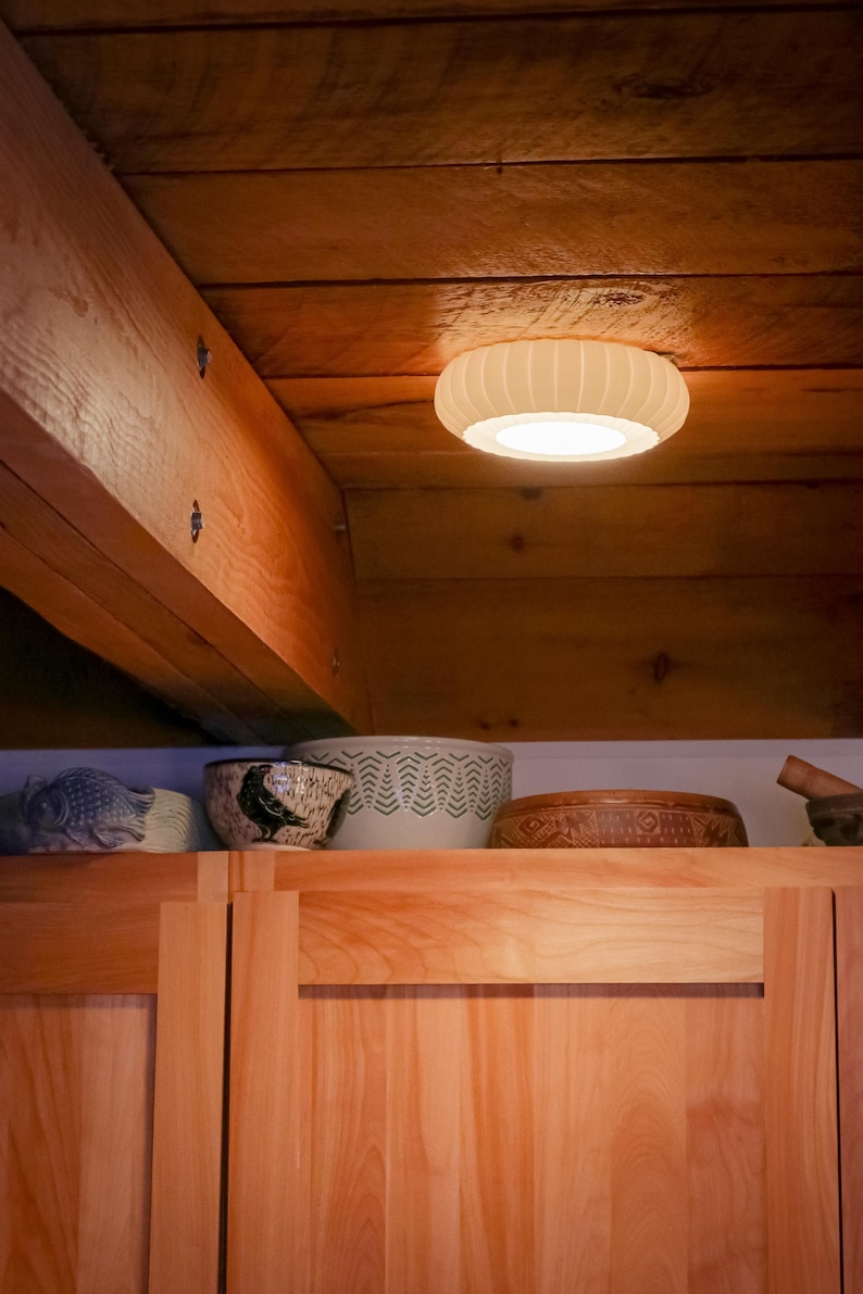 Peony Recessed Light Shade 4 Inch: Decorative LED Can Light Cover (no ...
