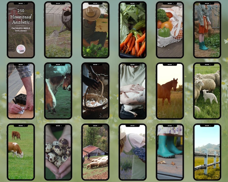 Homesteading Faceless Reels, Aesthetic Cottagecore Videos, Sustainable ...