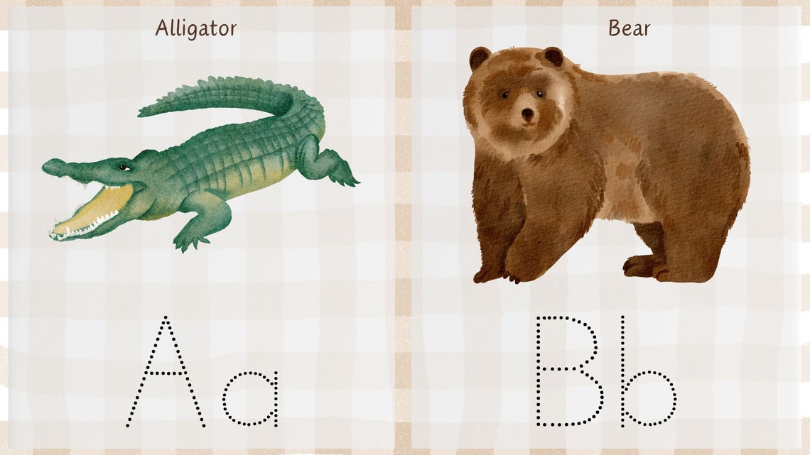 Animal Alphabet Learning Book - Etsy