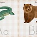 Animal Alphabet Learning Book - Etsy
