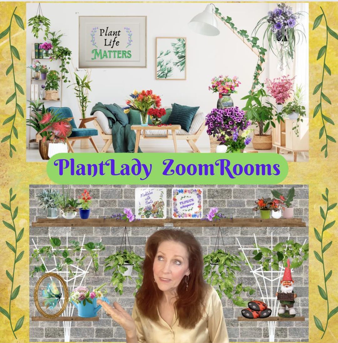 2 Plant Lover Virtual Backgrounds for Zoom, "plant Life Matters" and ...