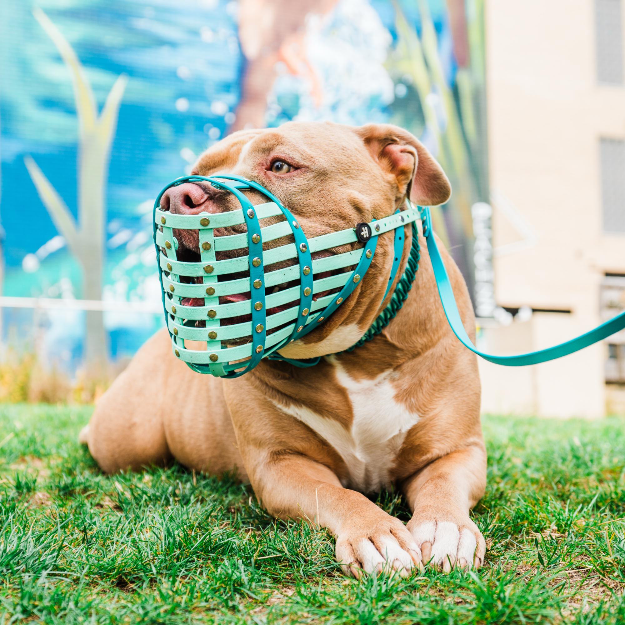 Biothane Dog Muzzle – Adjustable Waterproof Muzzle for Medium & Large ...
