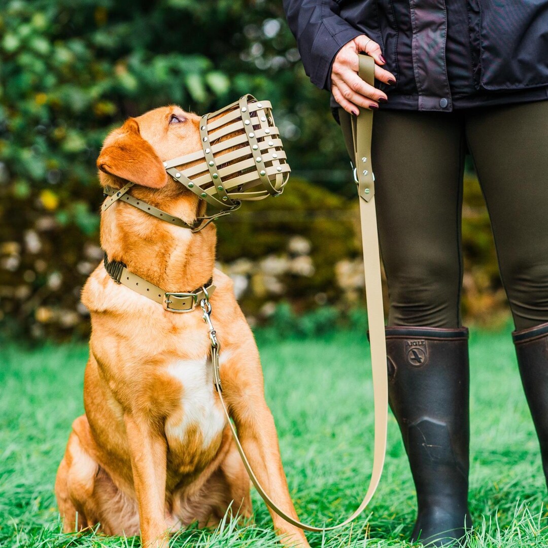 Comfortable Biothane Dog Muzzle for Medium to XL Dogs – Adjustable ...