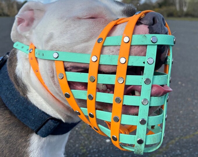 Custom Fit Muzzle for Long Nose Dogs, Waterproof Biothane - Etsy