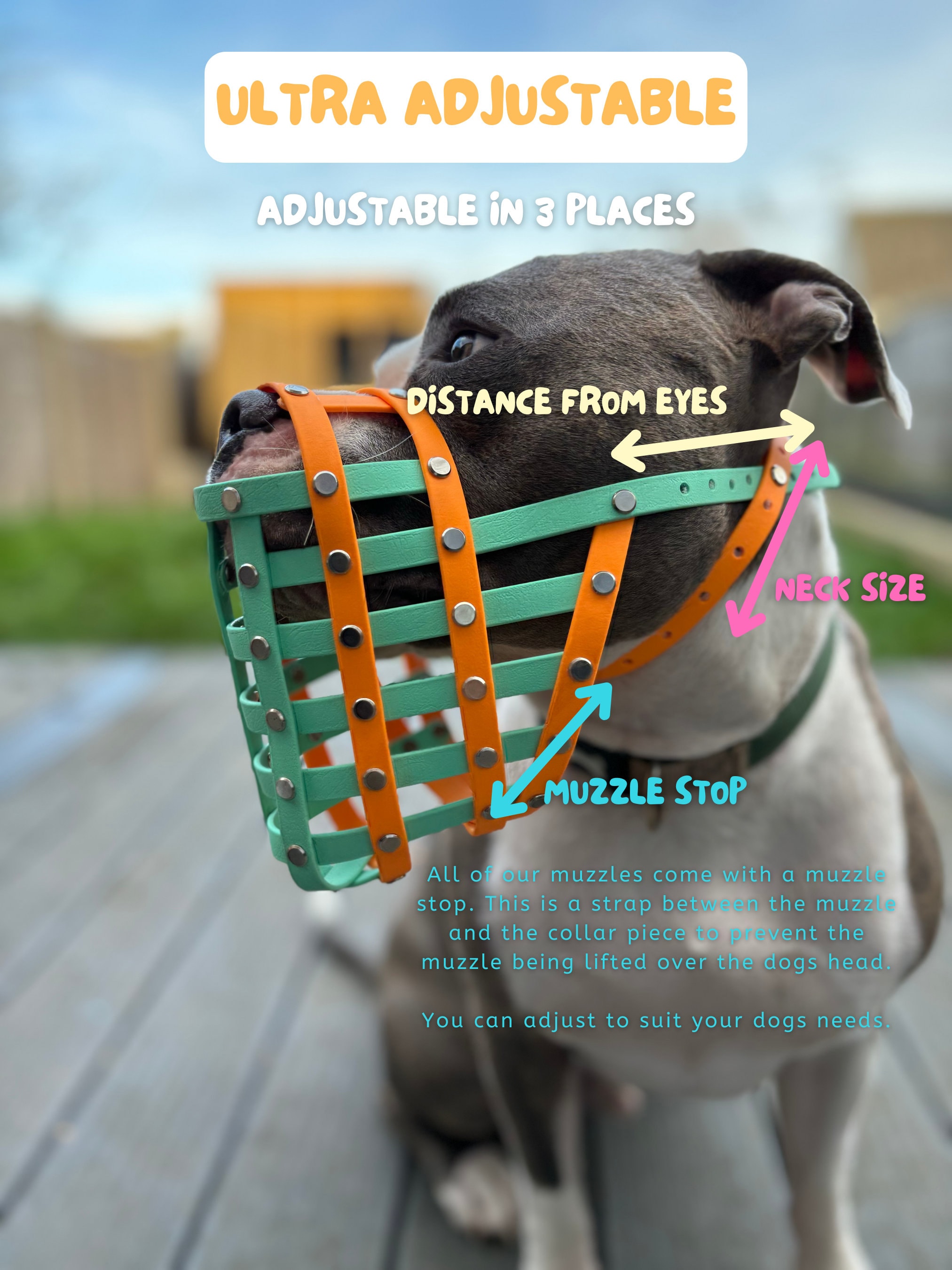 Custom Made to Measure Colourful Biothane Dog Muzzle Ultra Adjustable ...