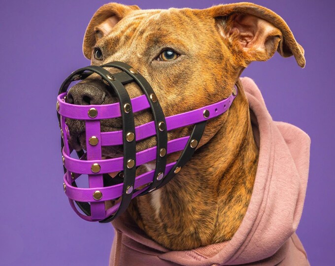 Biothane Dog Muzzle - Etsy