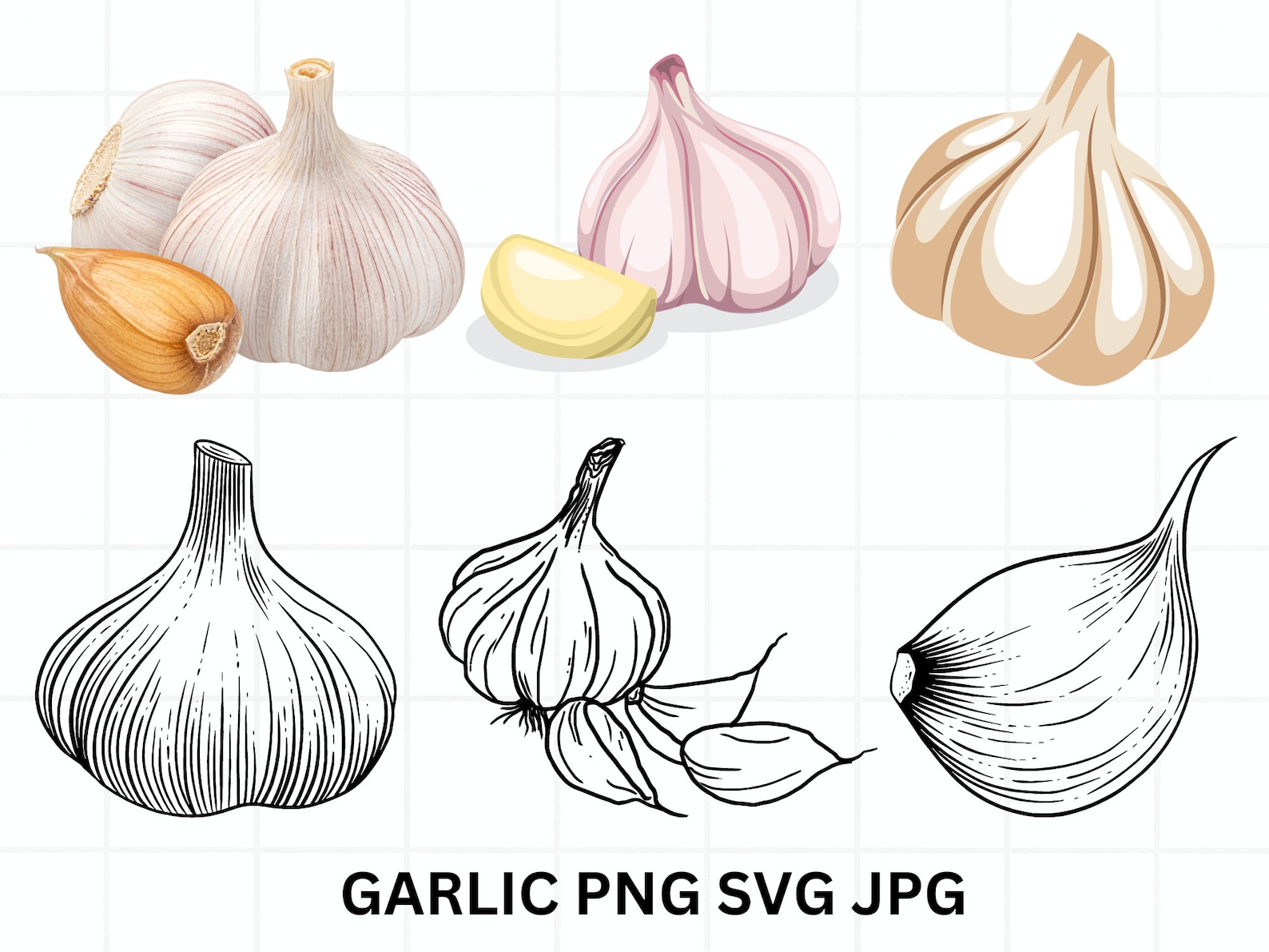 Garlic SVG Bundle, SVG Files for Cricut, Garlic Clipart, Garlic Png ...