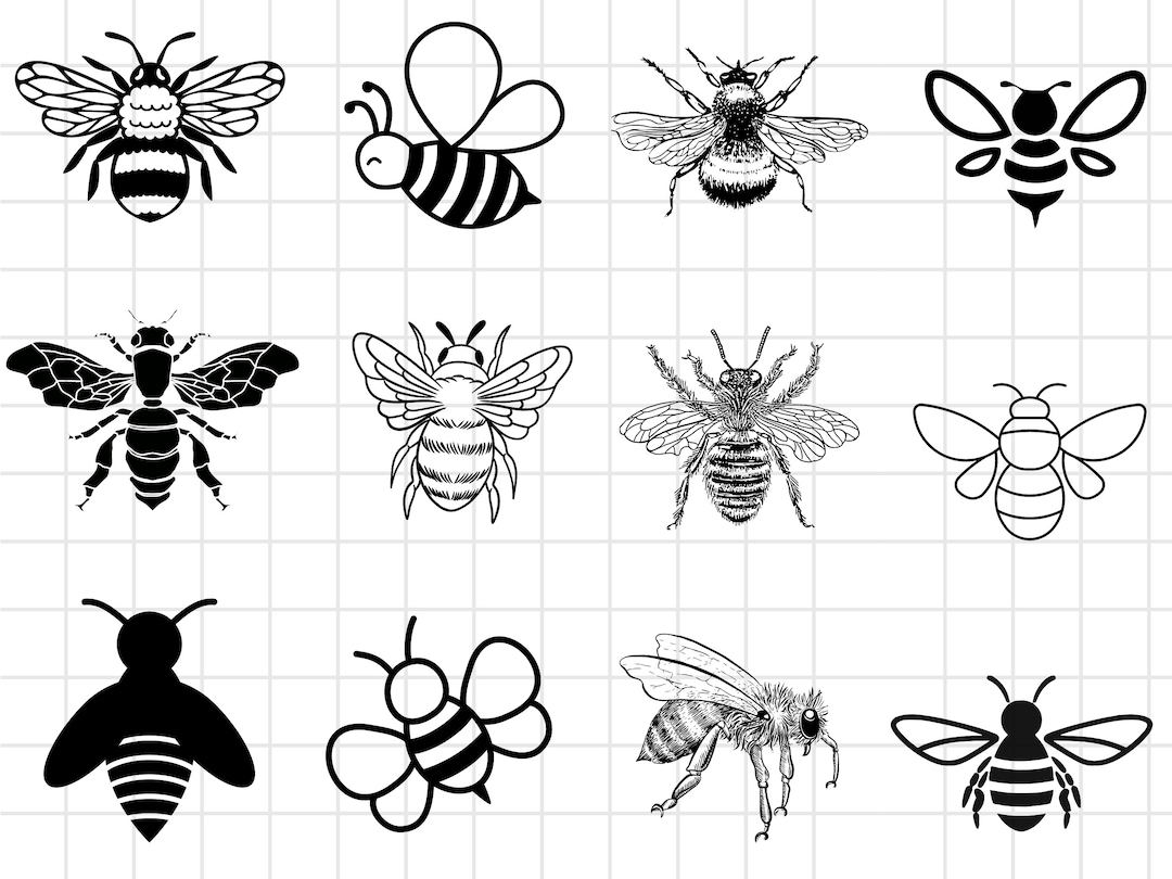 Bee SVG Bundle, Bee Cricut File, Bee Silhouette Svg, Insect Vector, Bee ...