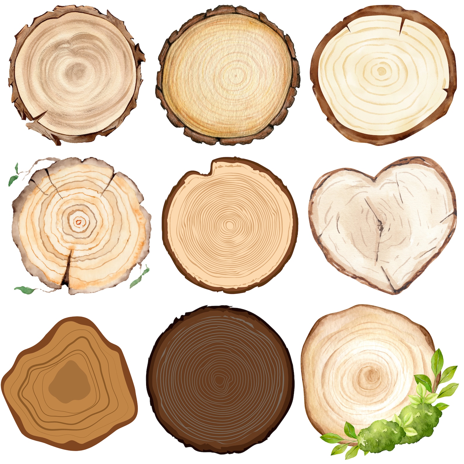 Wood Slice SVG Bundle, Tree Rings Svg,wood Slice Dxf, Wood Slice Png ...