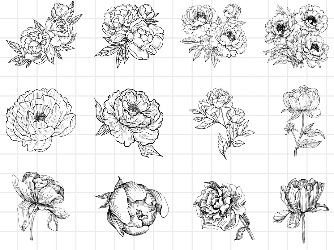 Peonies Svg Bundle, Peony Svg, Peonies Bouquet Svg, Floral Arrangement ...