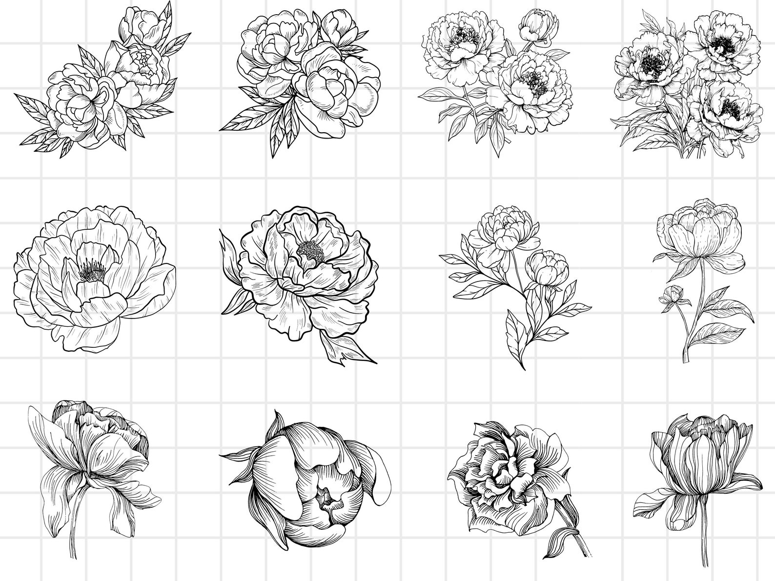 Peonies Svg Bundle, Peony Svg, Peonies Bouquet Svg, Floral Arrangement ...