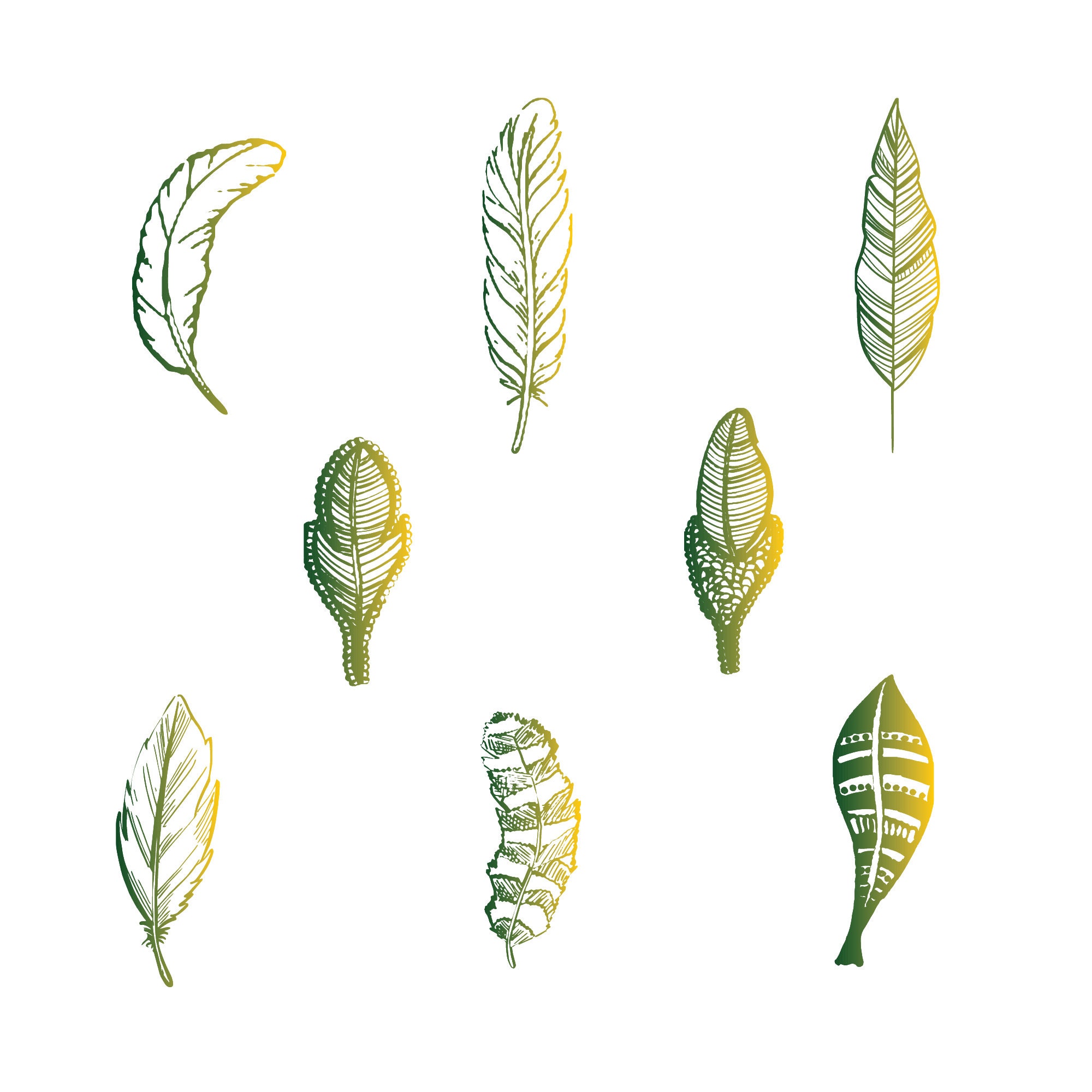 Feathers Svg Bundle, Feathers Clipart for Cricut, Birds Feathers ...