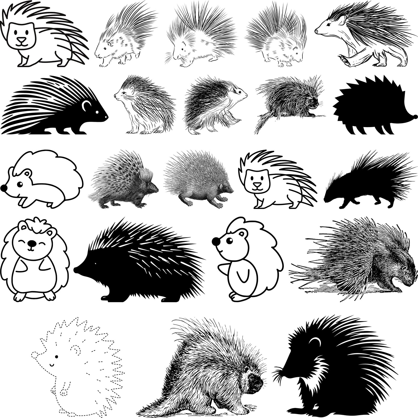 Echidna Svg Bundle, Echidna Svg, Echina Design Svg, Echidna Png ...