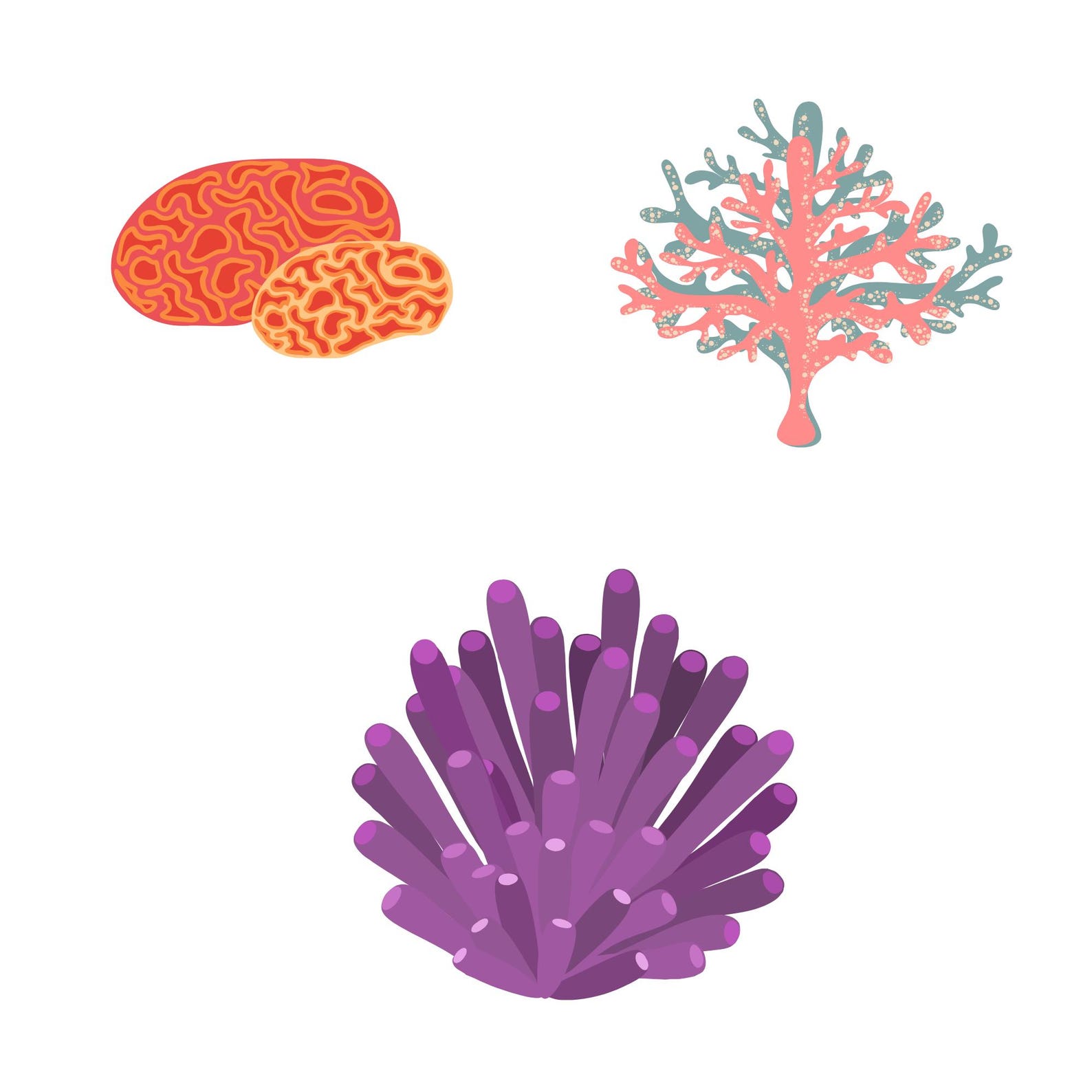 Coral Svg Bundle, Seaweed Clipart, Under the Sea Vector, Underwater ...