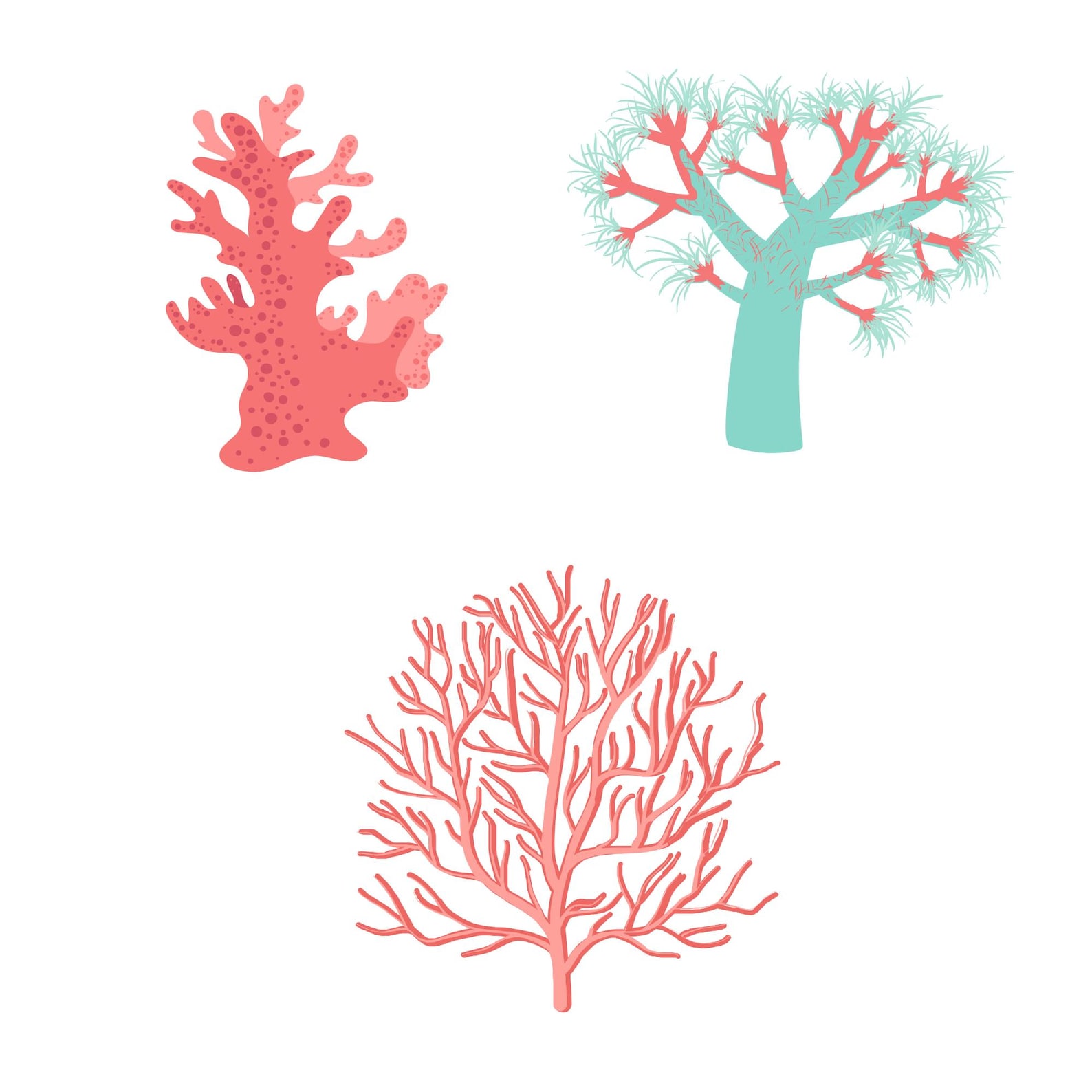 Coral Svg Bundle, Seaweed Clipart, Under the Sea Vector, Underwater ...