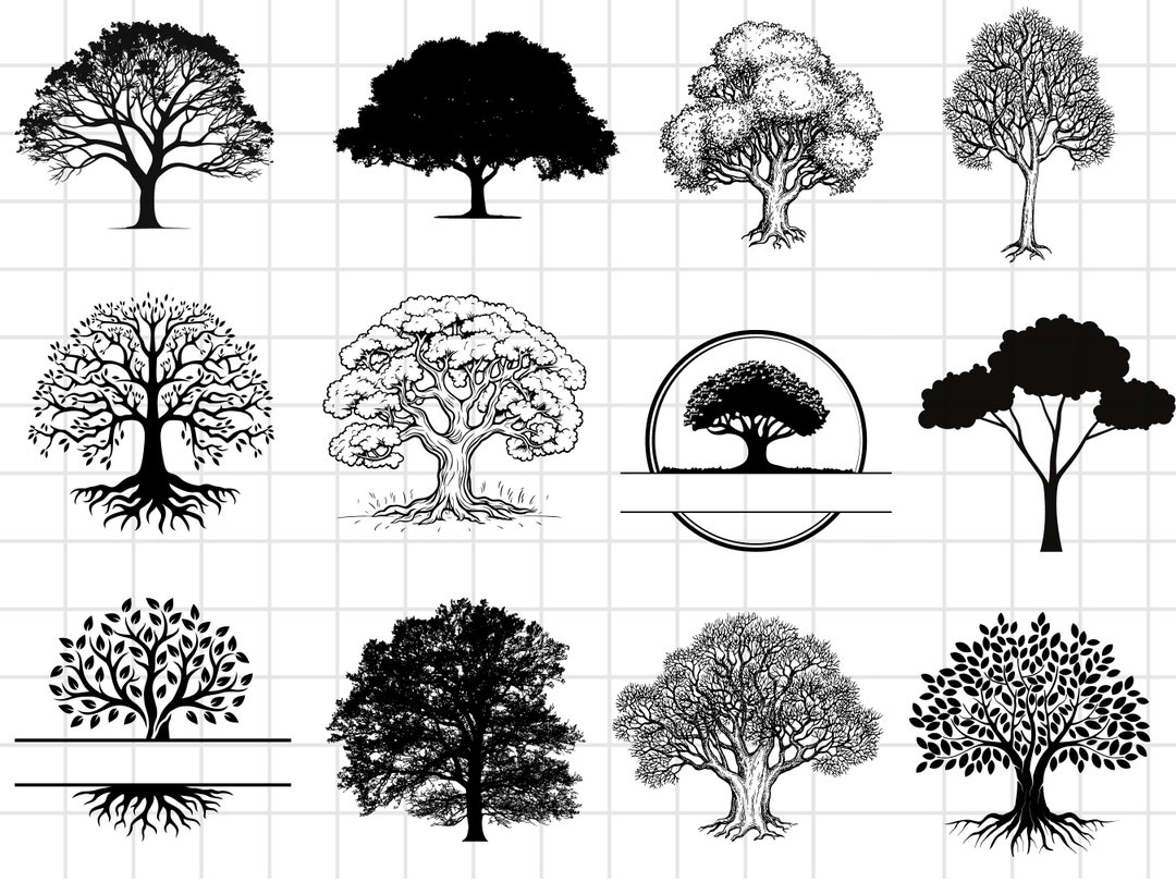 Oak Tree SVG Bundle , Tree Svg, Big Tree Svg, Oak SVG, Outdoor SVG ...