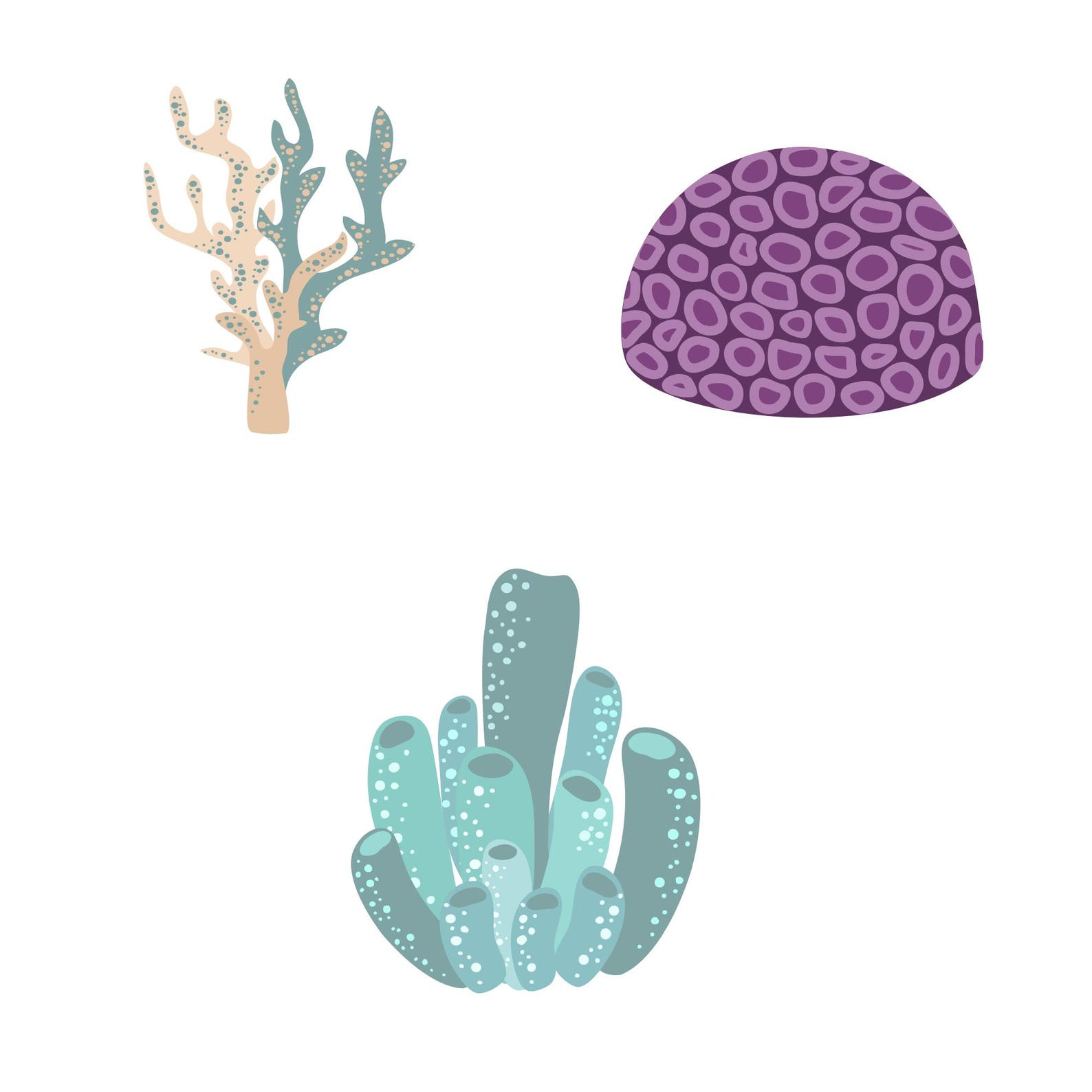 Coral Svg Bundle, Seaweed Clipart, Under the Sea Vector, Underwater ...