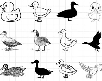Duck SVG Bundle, Duck Cricut, Cartoon Duck Svg, Duck Clipart, Cute Duck ...