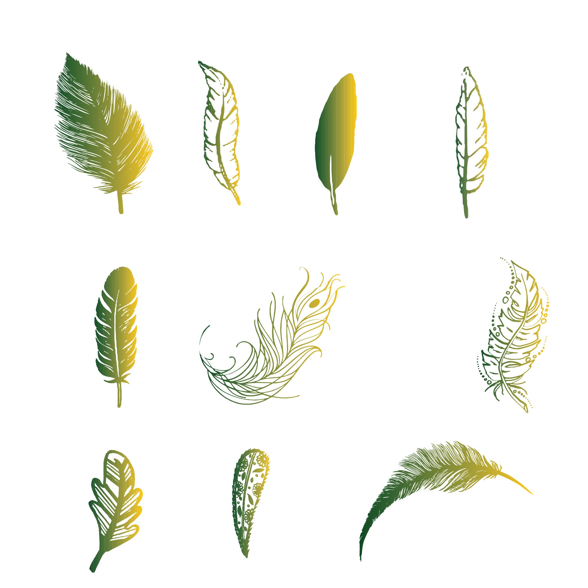 Feathers Svg Bundle, Feathers Clipart for Cricut, Birds Feathers ...