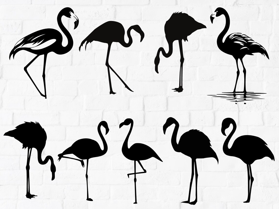 Flamingo SVG Bird SVG Flamingo SVG Bundle Flamingo Cut File Flamingo ...