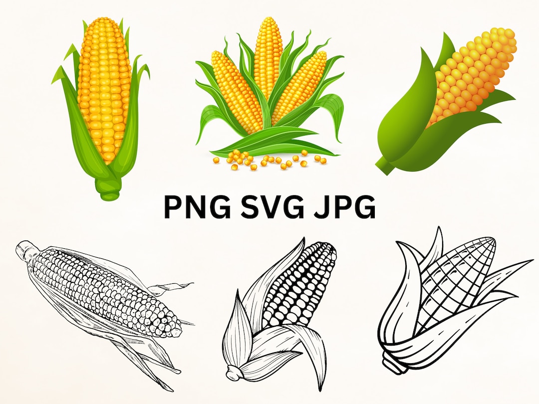 Corn Bundle SVG, Corn Svg, Corn Svg Cricut Shirt, Corn Farmer Svg, Corn ...