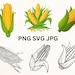 Corn Bundle SVG, Corn Svg, Corn Svg Cricut Shirt, Corn Farmer Svg, Corn ...