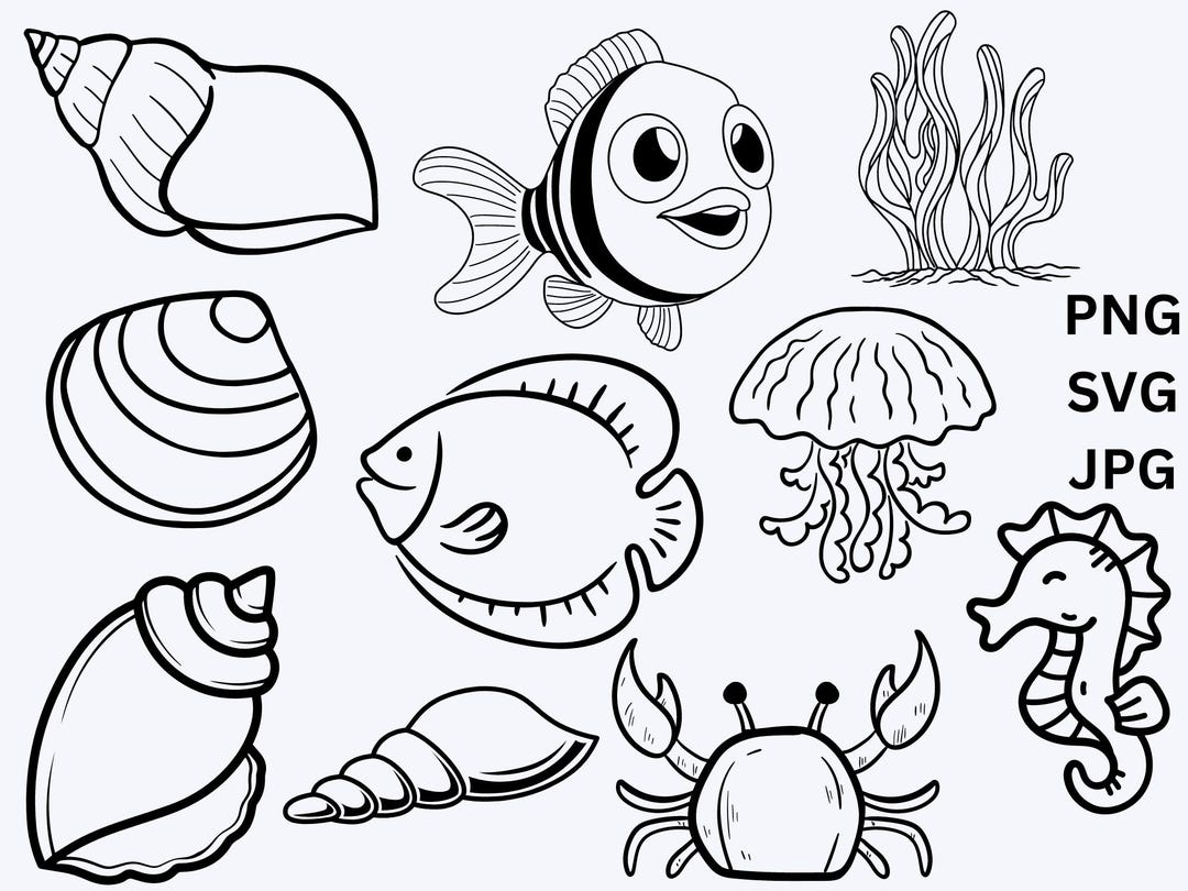 Seashell SVG, Seashell Cricut, Seashell Cut Files, Seashell Silhouette ...