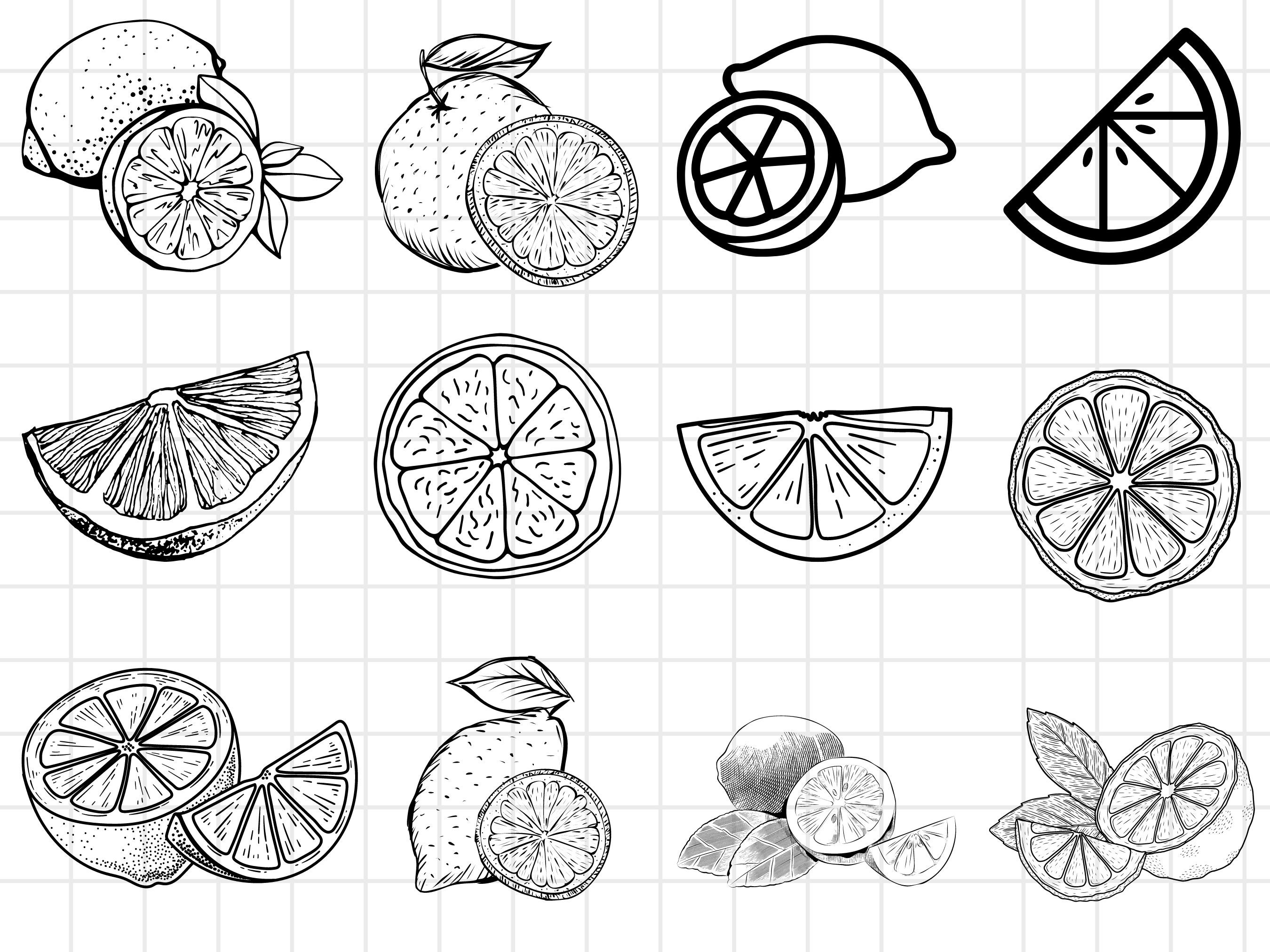 Lemon Svg Bundle, Lemon Cricut, Lemon Vector File, Lemon Svg Friut ...