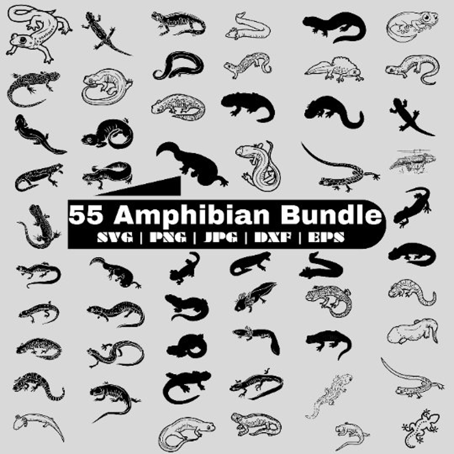 55 Amphibian Svg Bundle, Gecko Svg, Reptile Svg, Lizard Svg Bundle ...