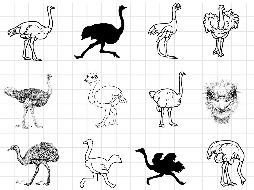 Ostrich Svg Bundle, Angry Ostrich SVG, Ostrich Silhouette, Running ...