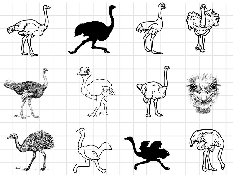 Ostrich Svg Bundle, Angry Ostrich SVG, Ostrich Silhouette, Running ...